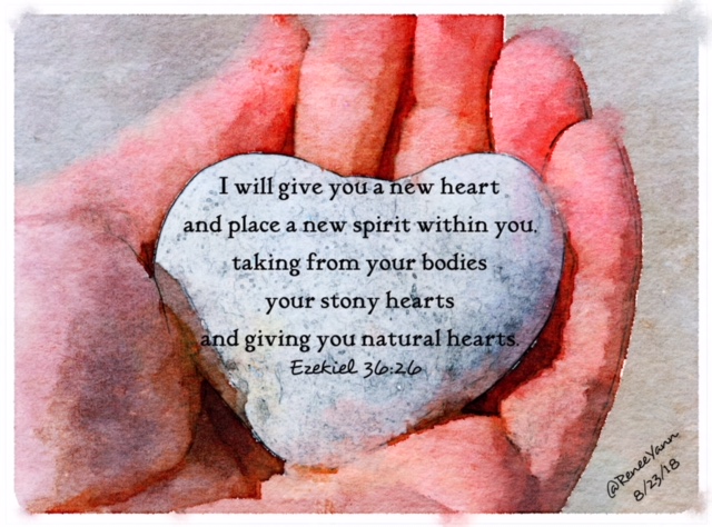 A Stony Heart – Lavish Mercy