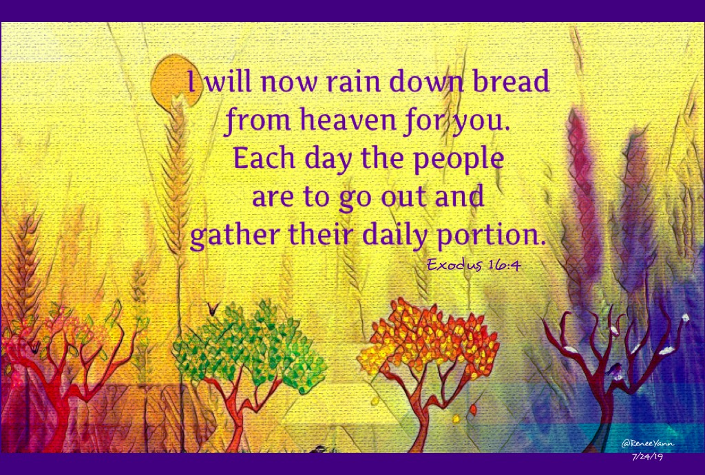 It’s Raining Bread! – Lavish Mercy