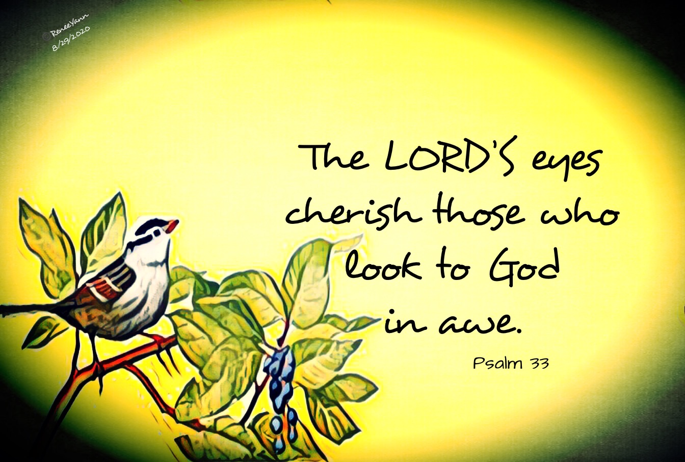 Psalm 33: Unfailing Trust – Lavish Mercy