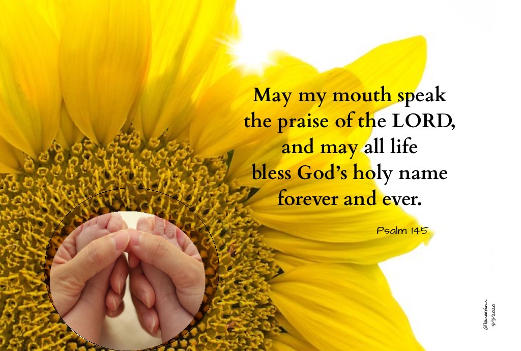 Psalm 145: To Life! – Lavish Mercy