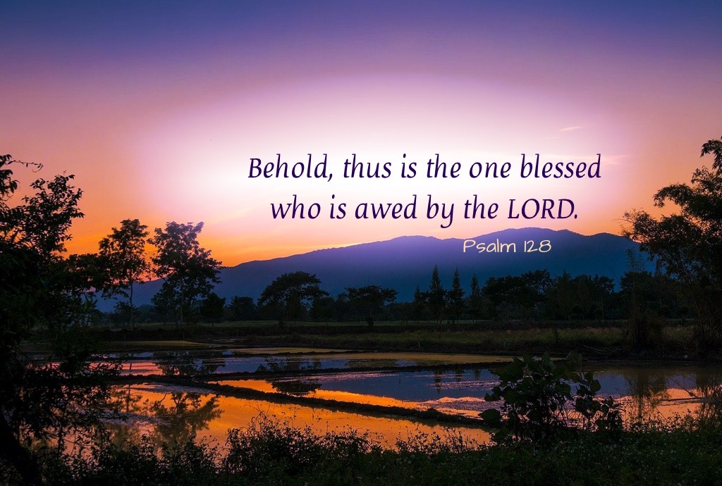 Psalm 128: Awesome! – Lavish Mercy