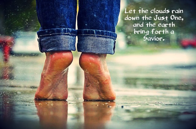 Psalm 85: Rain Down, O Lord! – Lavish Mercy