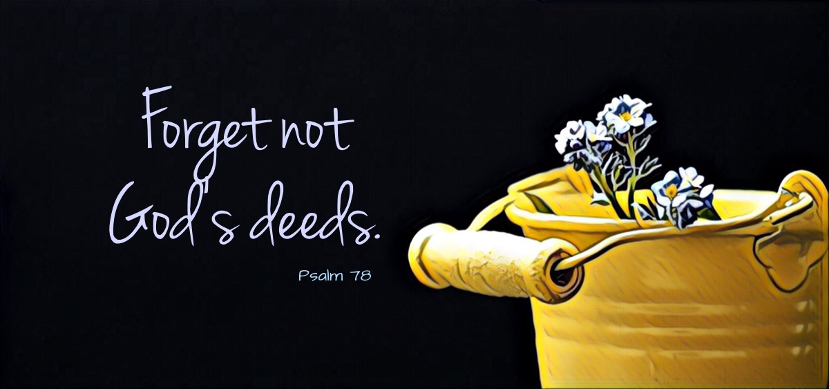 Psalm 78: Don’t Forget – Lavish Mercy