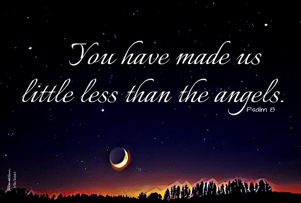 Psalm 8: What Are We? – Lavish Mercy