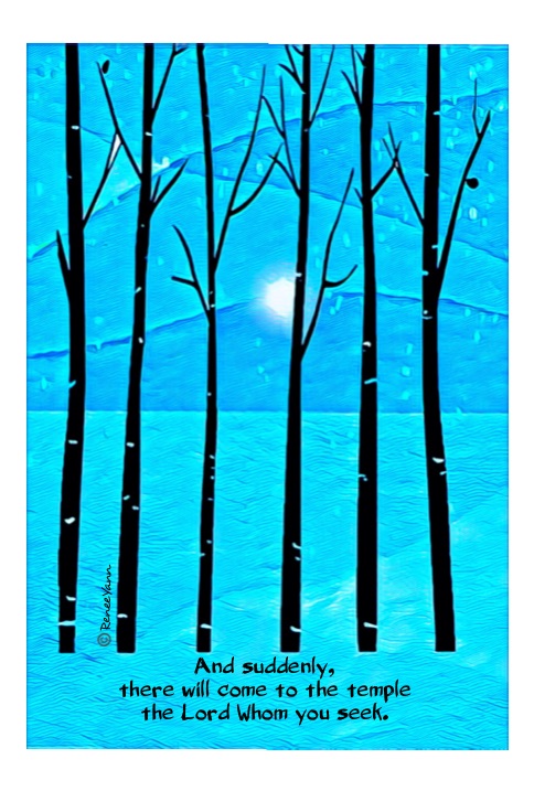 Look Up and See! – Lavish Mercy