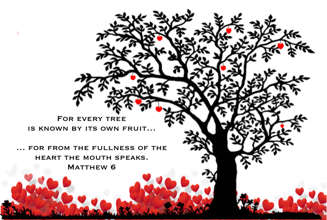 Primed for Transformation – Lavish Mercy