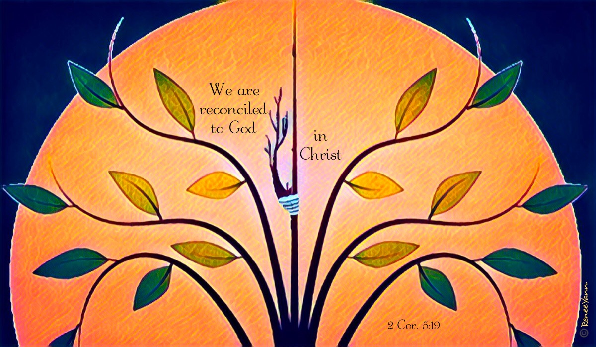 Alleluia: Grafted to God – Lavish Mercy