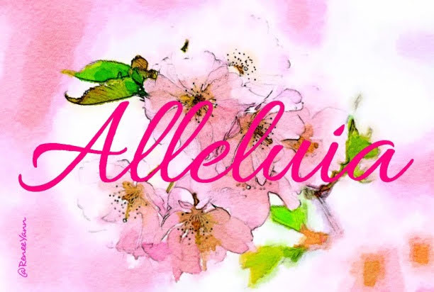Alleluia! Alleluia! – Lavish Mercy