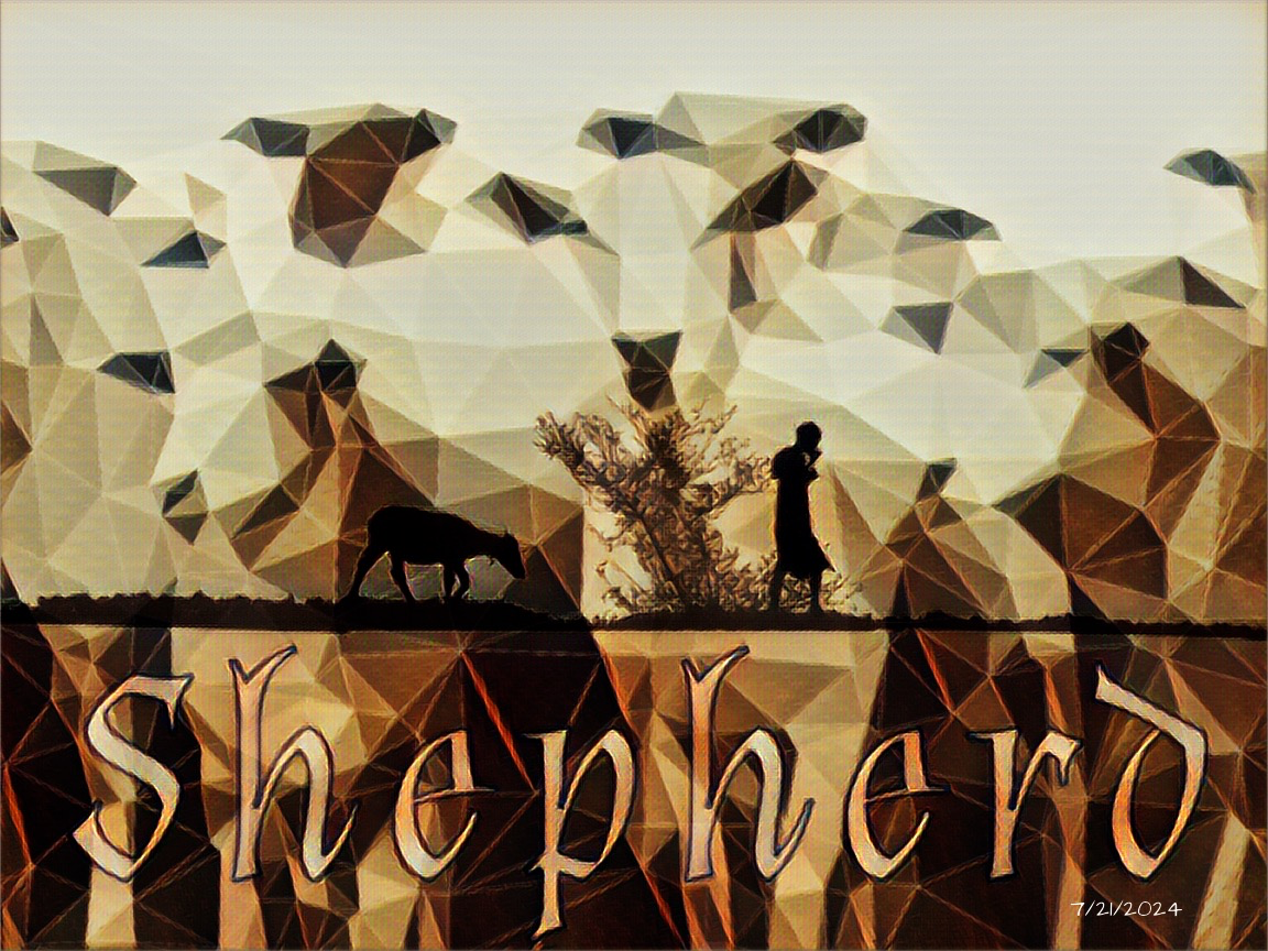 Shepherd – Lavish Mercy