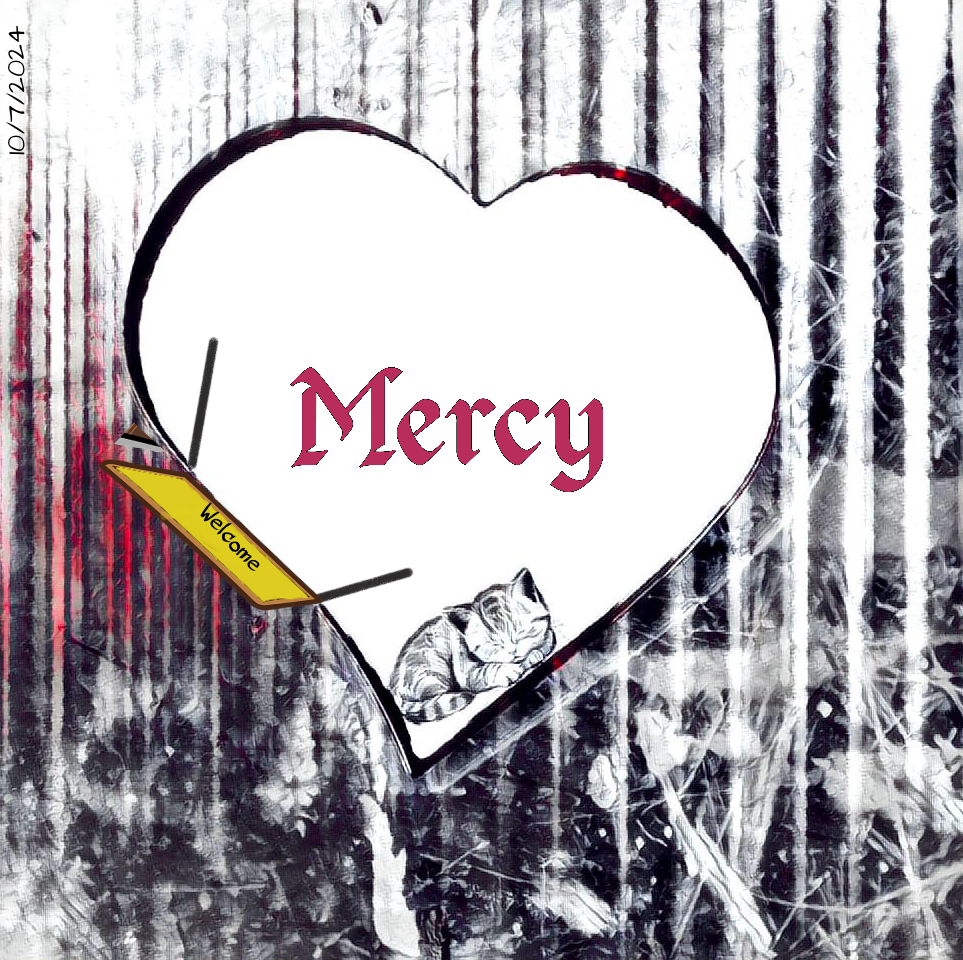 Mercy – Lavish Mercy